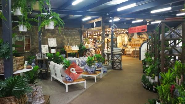 Flower Power Glenhaven Specials | Best Flower Site