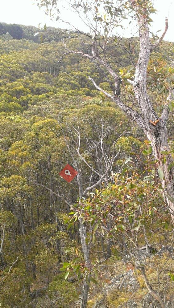 Kenneth Stirling Conservation Park - Carey Gully